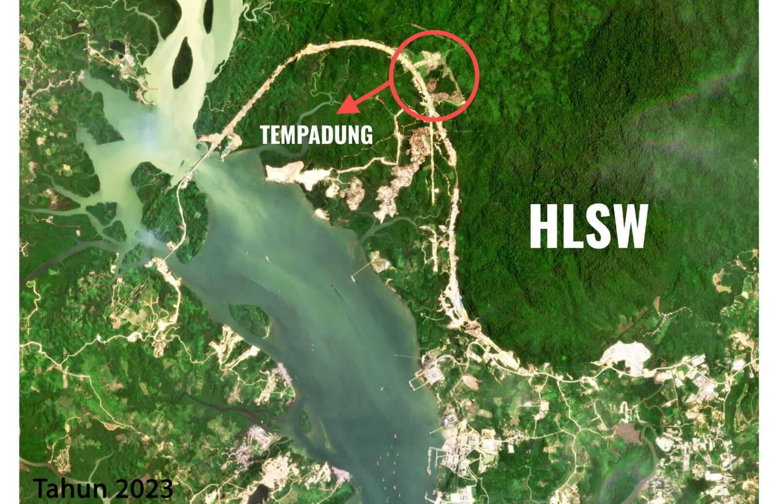 Hutan Lindung Sungai Wain Dibabat, Alarm DeforestasiMenyala di Balikpapan