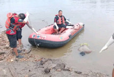 Polresta Samarinda Ungkap Jaringan Narkoba Lintas Provinsi, Sita 7,1 Kg Sabu dan 4 Tersangka